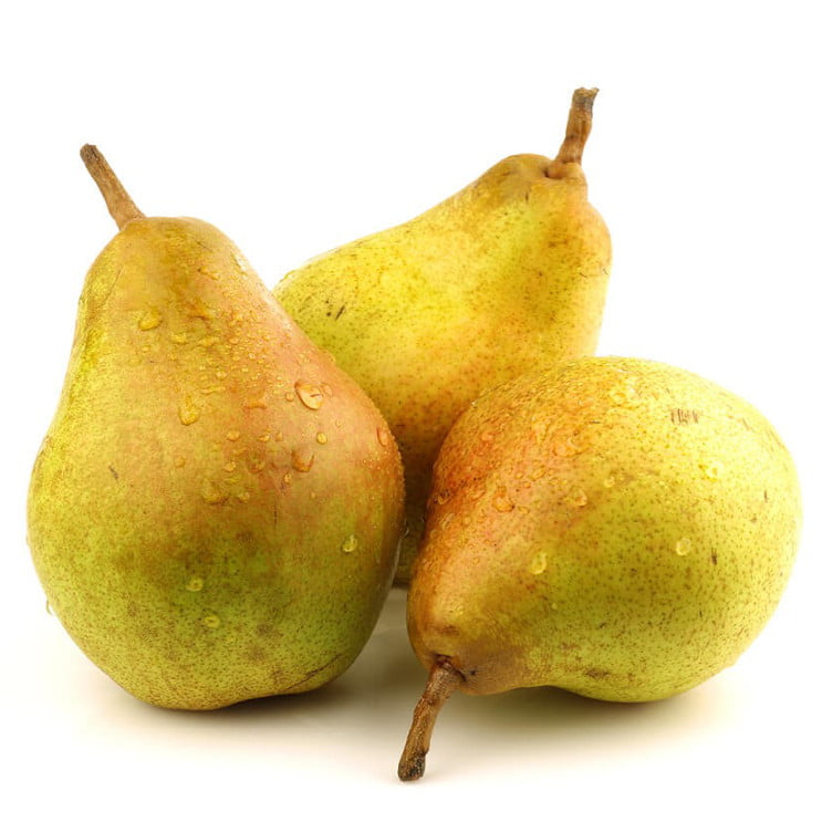 Poirier 'Comice' - Pépinière AB Des Forêts à Croquer